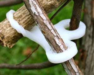 stick–lets, flexible connectors from making with branches and rods