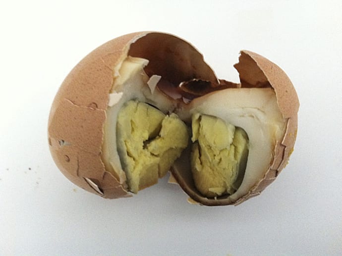 life lessons from an exploding egg + roz chast - Improvised Life