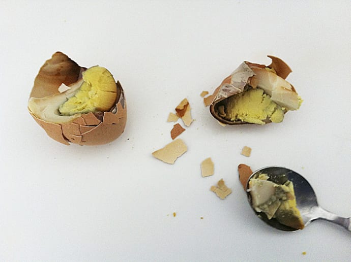 life lessons from an exploding egg + roz chast - Improvised Life