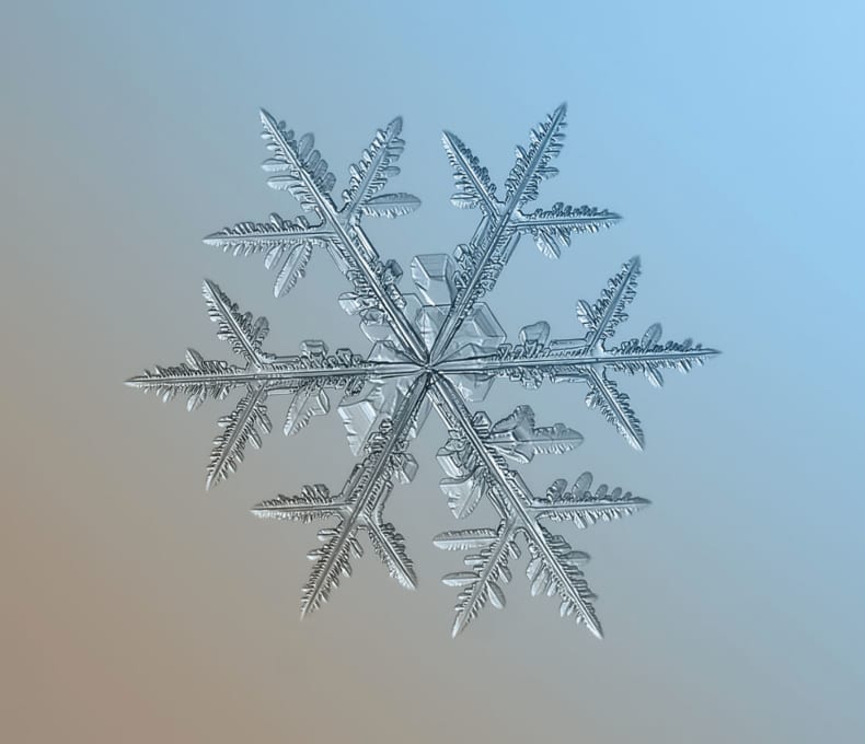 The Evolution of a Snowflake Is Like...Our Own - Improvised Life