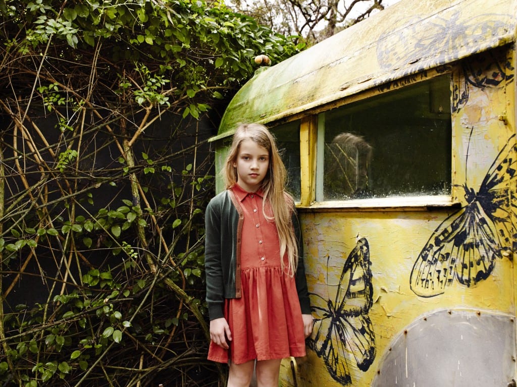 A Butterfly-Painted Shed - Improvised Life
