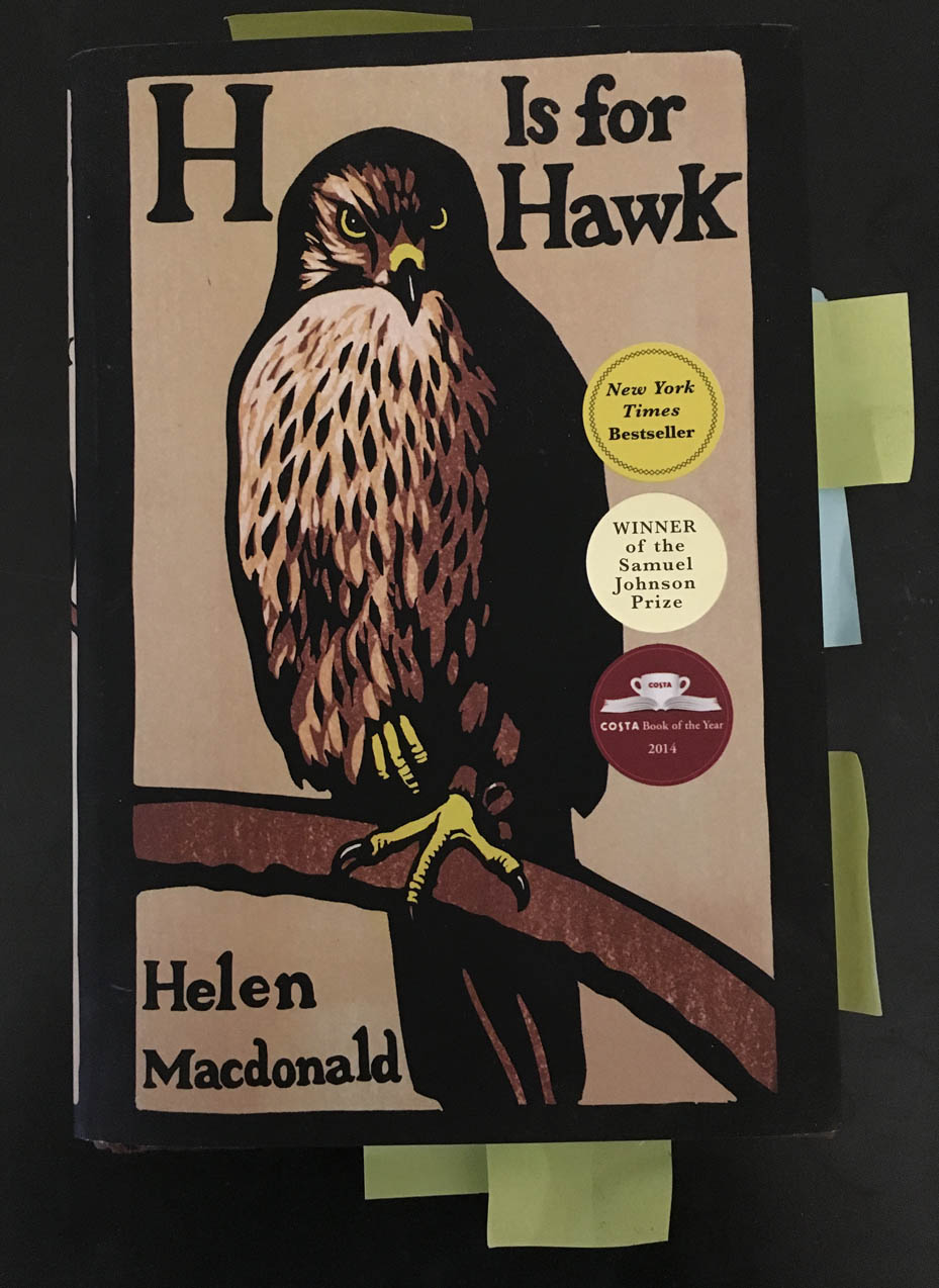 'the world is full of signs and wonders' (H is for Hawk) - Improvised Life