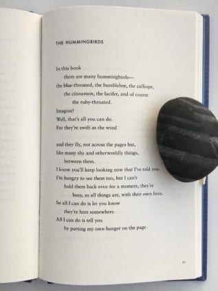 Mary Oliver Poem The Hummingbirds - Improvised Life