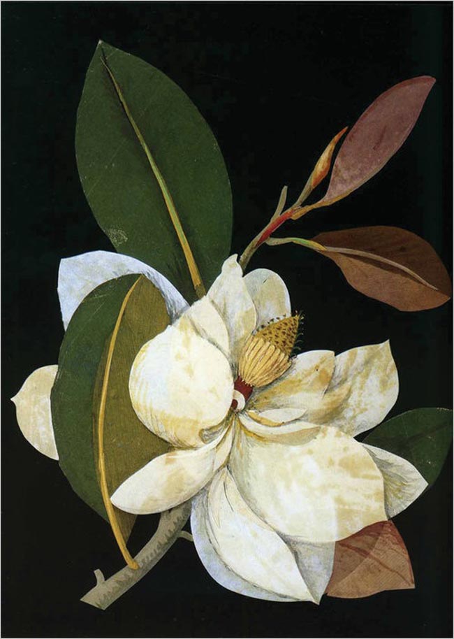 Mary-Delany-collage-1 The British Museum - Improvised Life