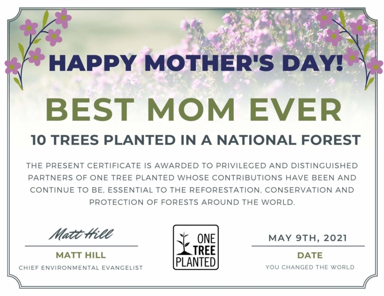 Ways to Honor The Mother Trees (Susan Simard, W.S. Merwin) - Improvised ...