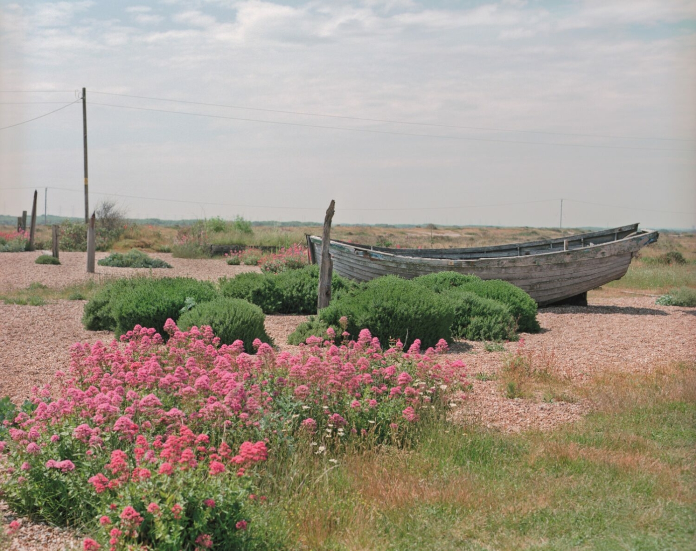 Derek Jarman's Gardens: " a Testament, Blazing, Blatant, to Possibility ...