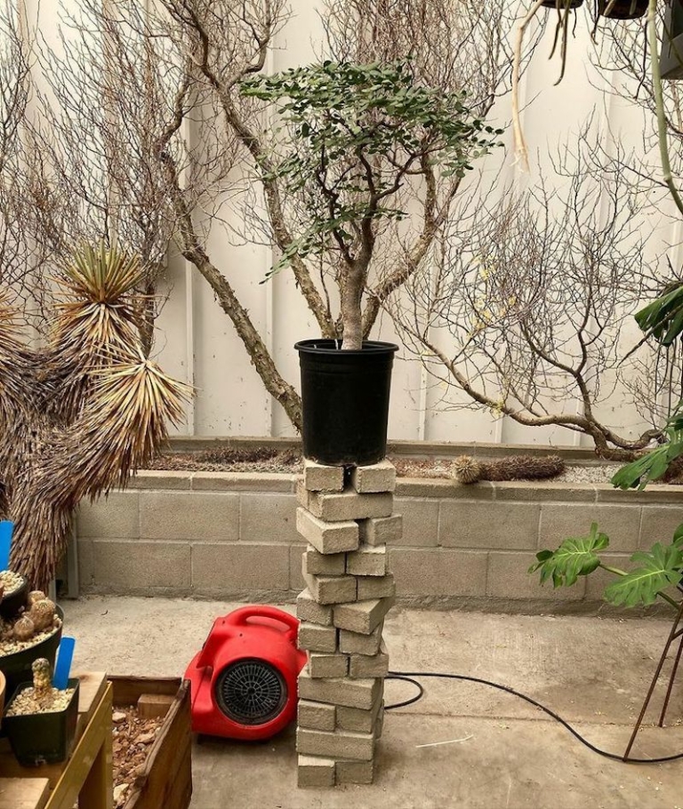 Possibility Thinking with Stacked Brick Plant Stand - Improvised Life
