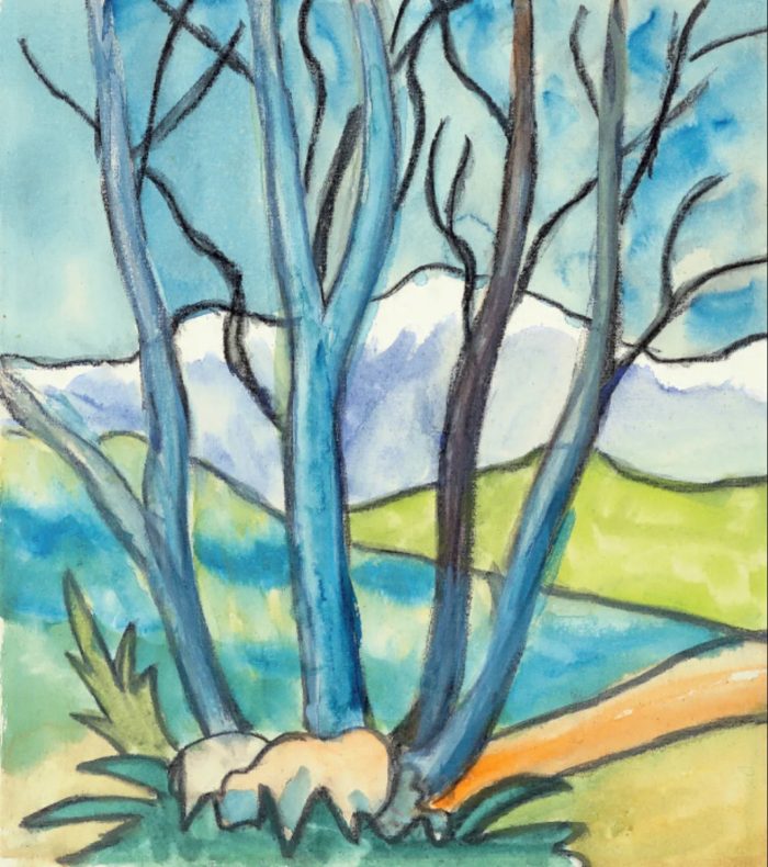 'Trees are Sanctuaries': Hermann Hesse's Writing and Watercolors ...